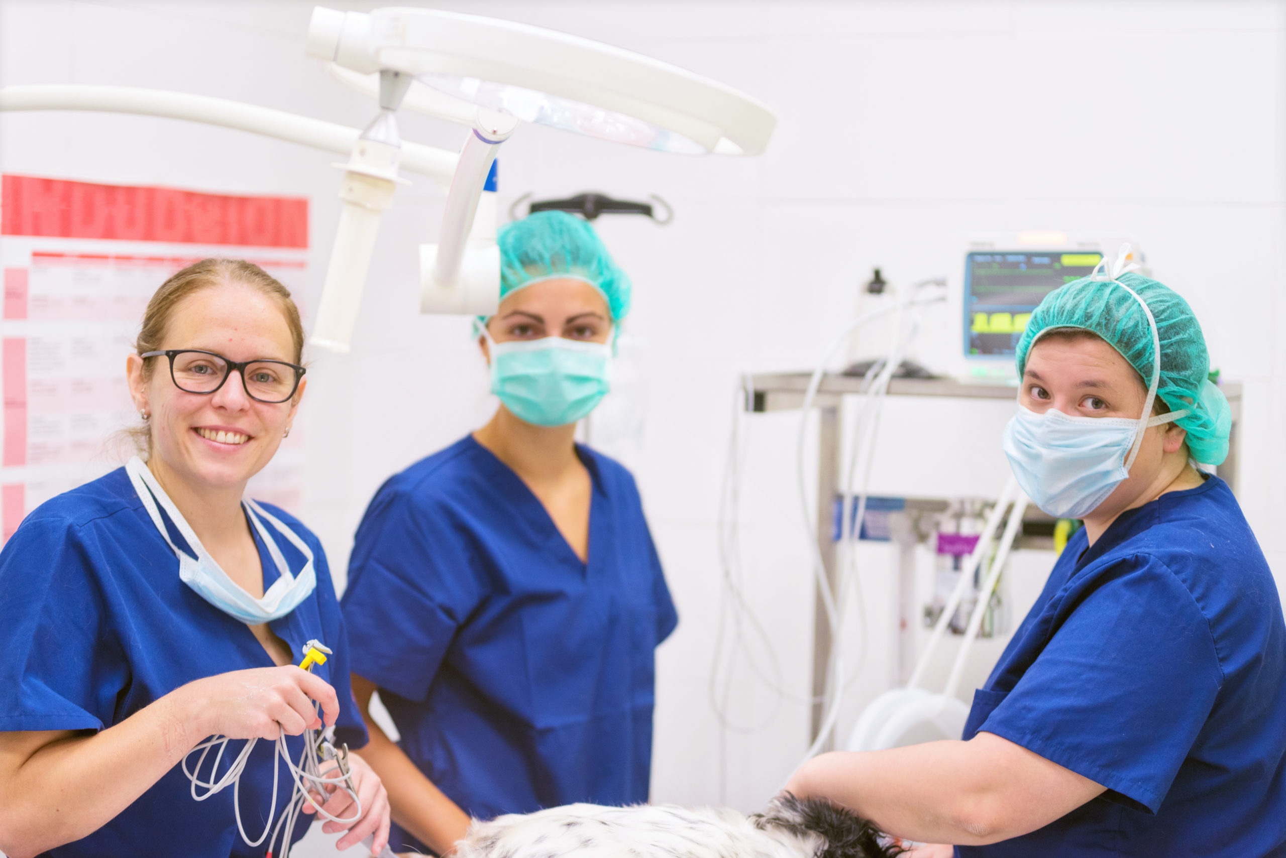 Online Veterinary CPD Webinars | Veterinary Thought Exchange