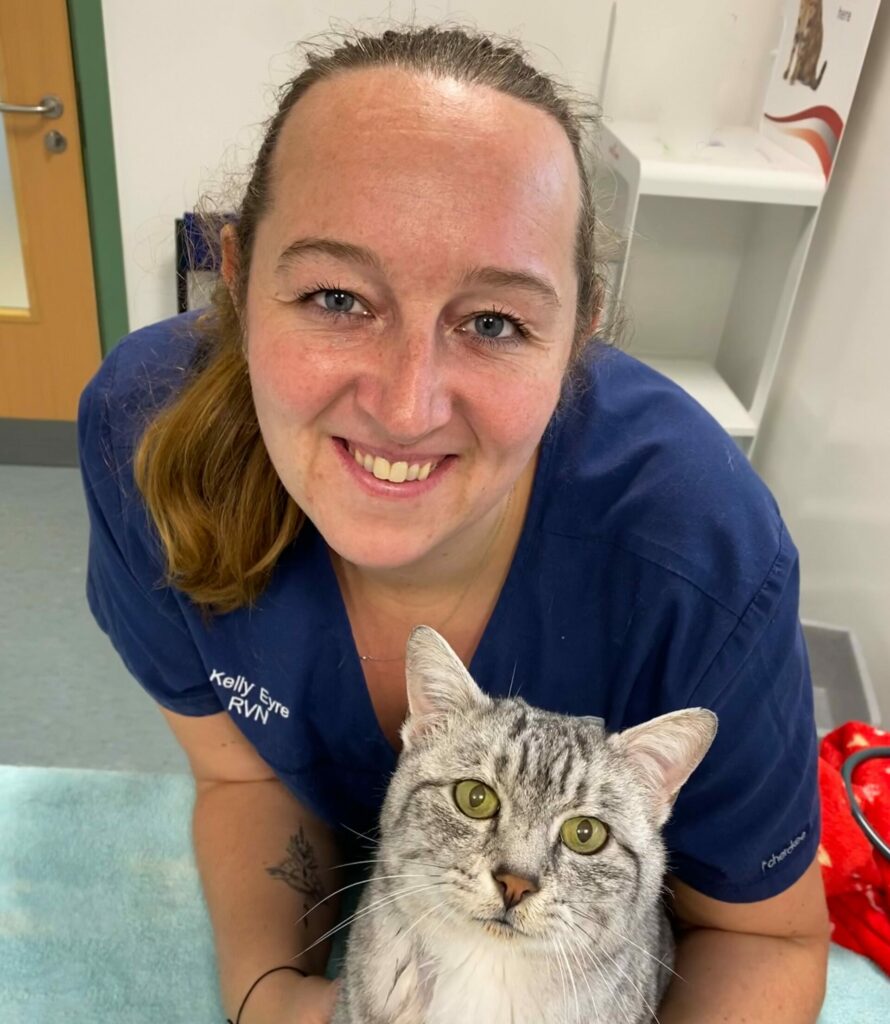 Online Veterinary CPD Webinars | Veterinary Thought Exchange