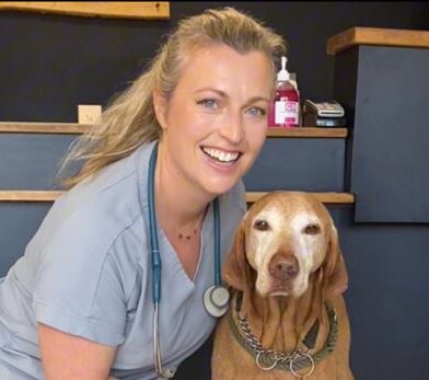 Cat Henstridge - Veterinary Thought Exchange